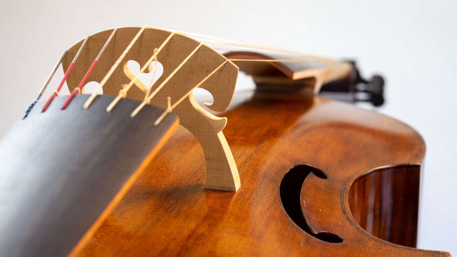 Viole de gambe en musiques contemporaines | MMC